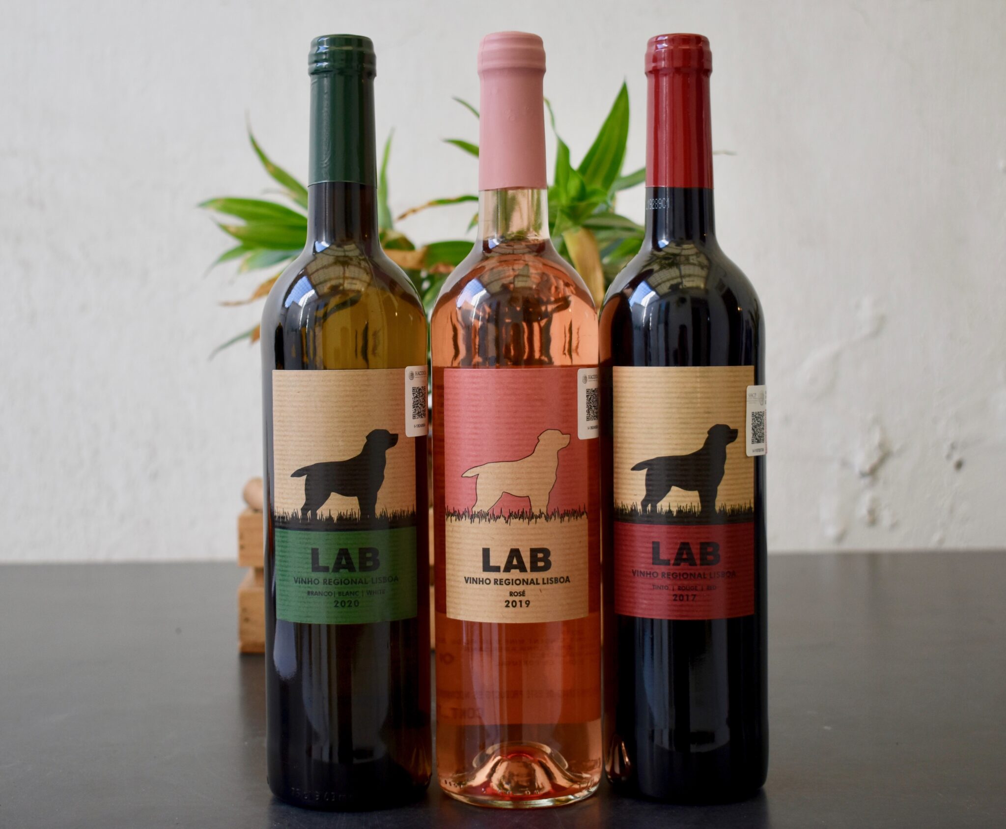 Vinos convencionales – Saint Vincent Wine